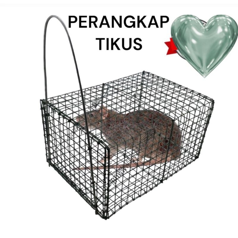 Jual jebakan perangkap tikus massal | Shopee Indonesia