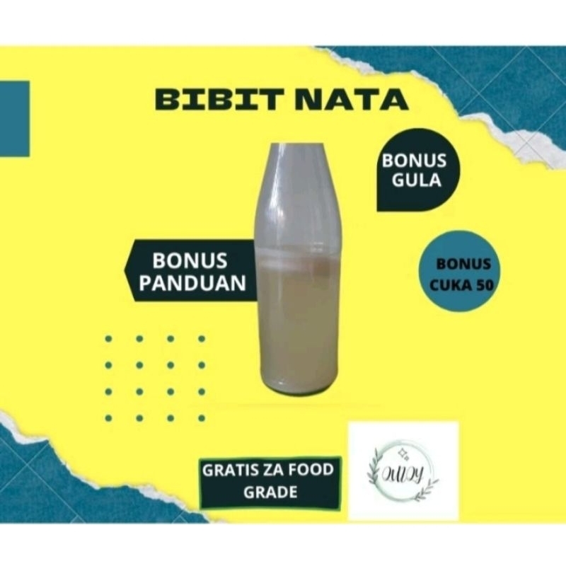 Jual bibit nata strater nata stater nata de coco biang nata de soya ...