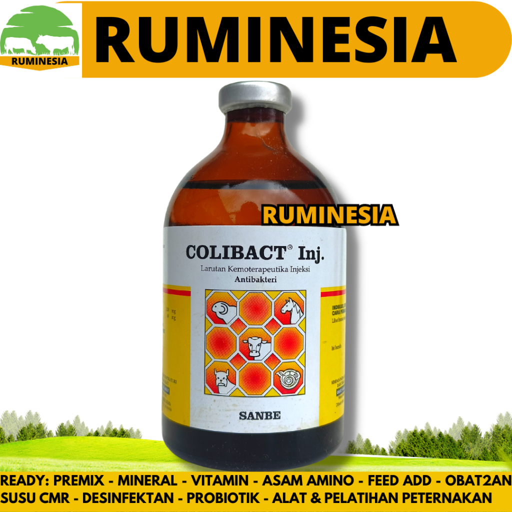 Jual COLIBACT INJEKSI 100ML SANBE - Obat Mencret Sapi - Obat Diare Sapi ...