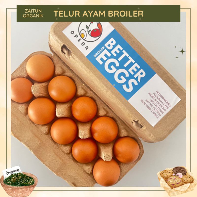 Jual Telur ayam Broiler Organik | Shopee Indonesia