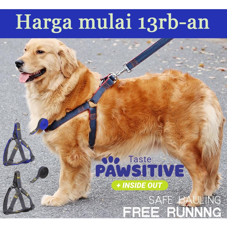 Jual Dog Harness Tali Tuntun Anjing Kucing Dog Collar Tali Tuntun ...