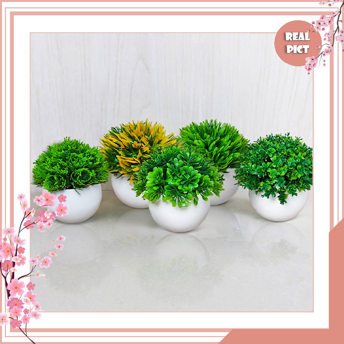 Jual UNICO Pot Bunga Plastik Hias Mini Import Termurah Bunga Rumput ...