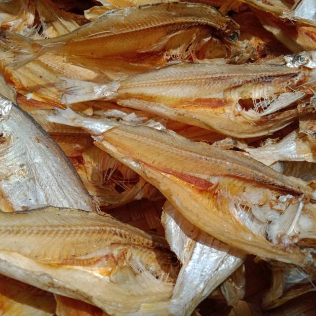 Jual Ikan Asin Kipas Khas Bengkulu | Shopee Indonesia