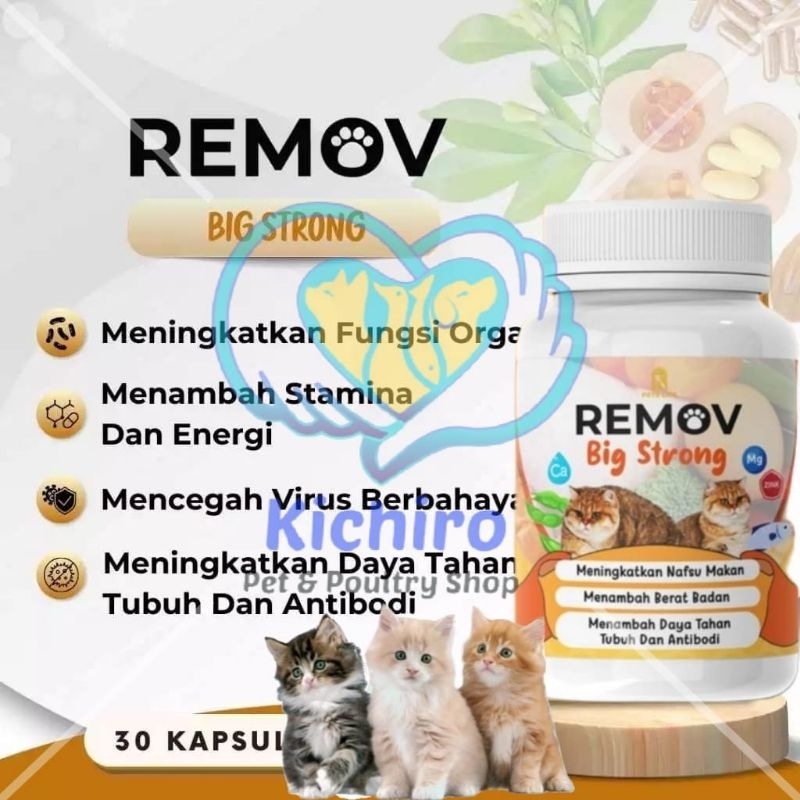Jual Remov Vitamin Botol isi 30 Kapsul Macam - Macam Vitamin ...