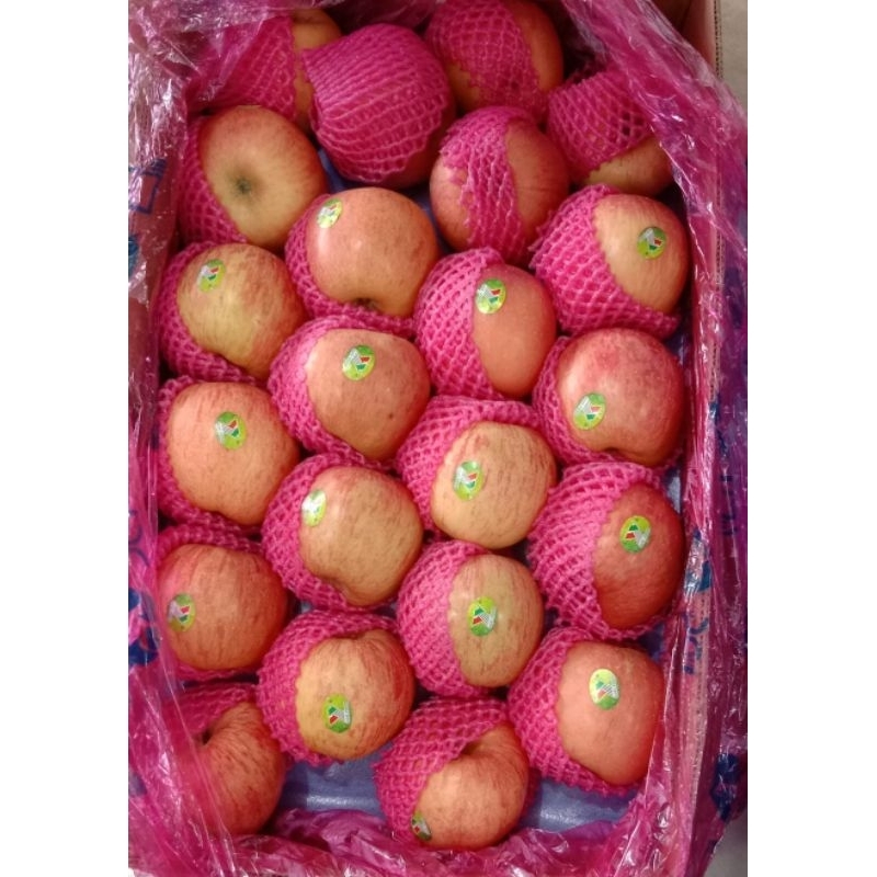 Jual Apel Fuji RRC | Shopee Indonesia