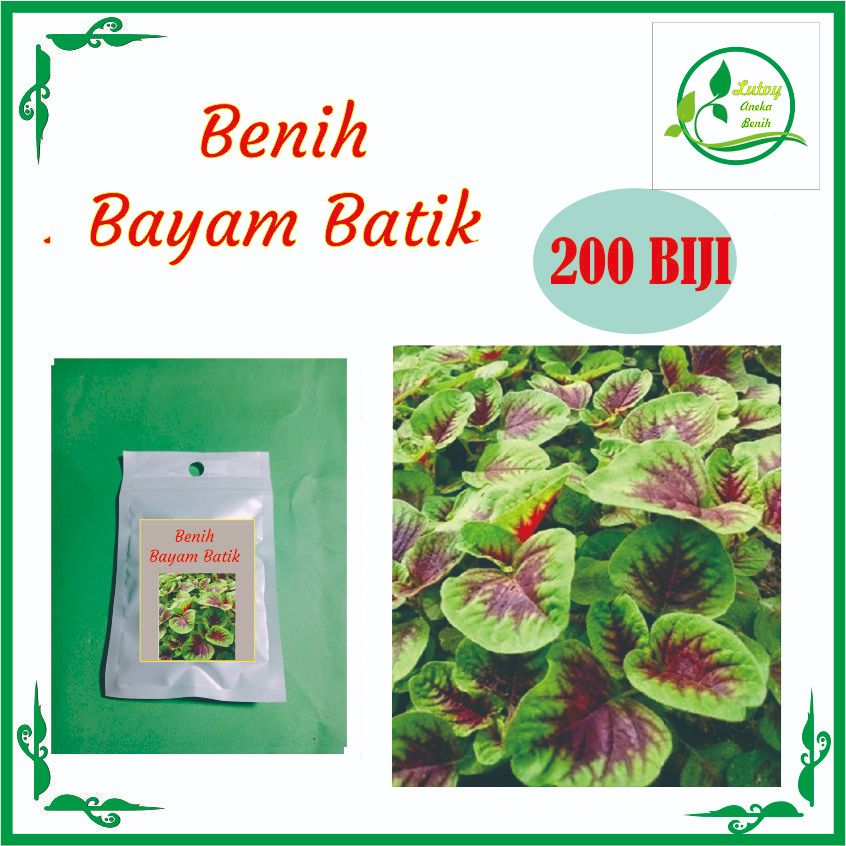 Jual BENIH BAYAM BATIK ISI 200 BIJI | Shopee Indonesia