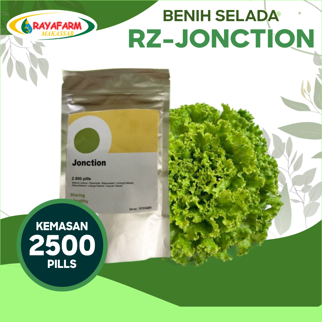 Jual BENIH SELADA JONCTION 2500 PILL - RZ | Shopee Indonesia