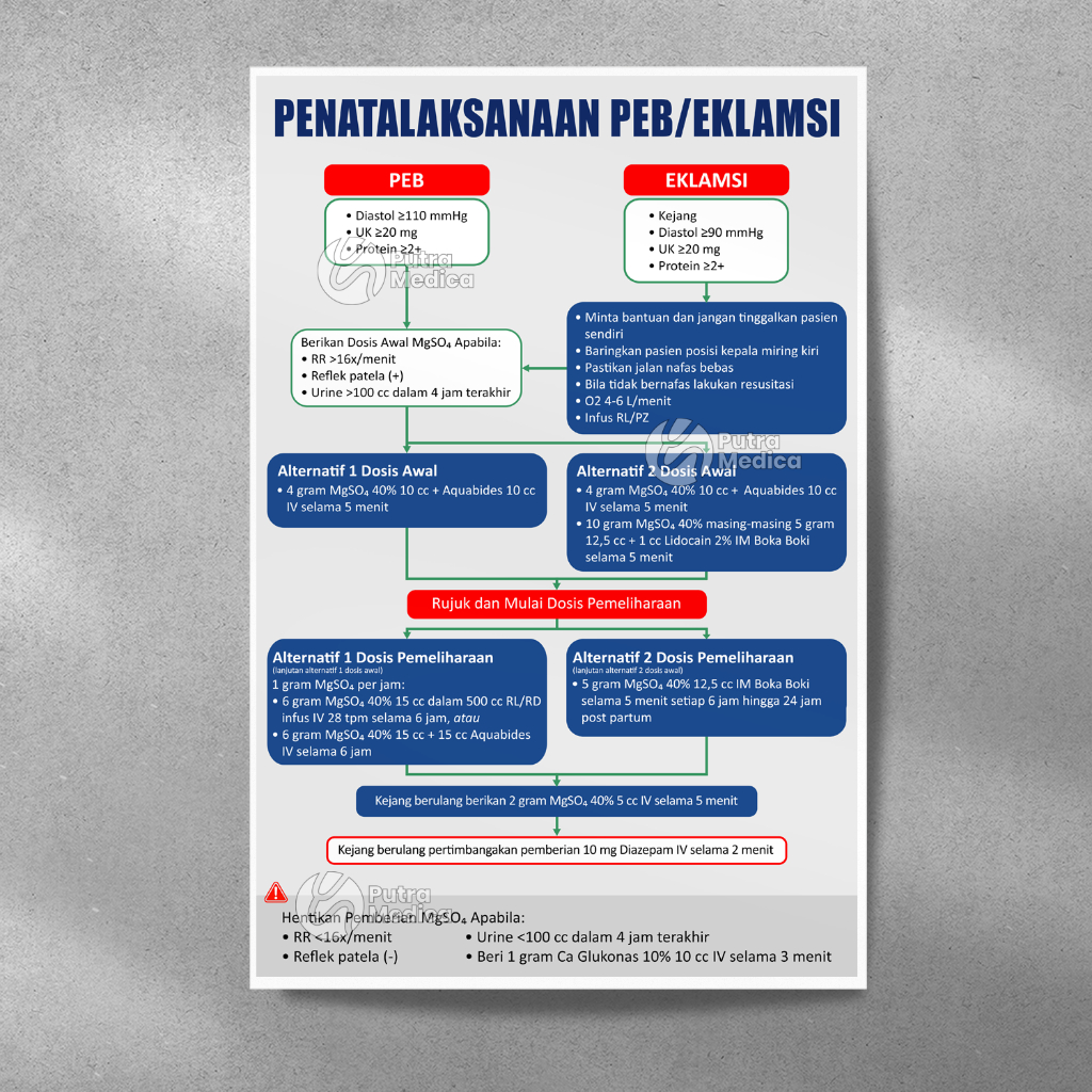 Jual Poster Kesehatan Penatalaksanaan PEB Eklamsi A3+ / Gambar Edukasi Kebidanan Tata Laksana ...