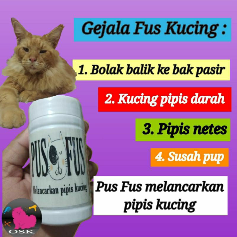 Jual Urinary Atasi Kucing Susah Kencing PUS FUS, Pipis Mampet Jadi ...