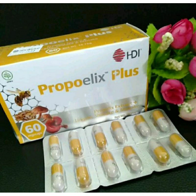 Jual Propoelix Plus Original 60 kapsul | Shopee Indonesia