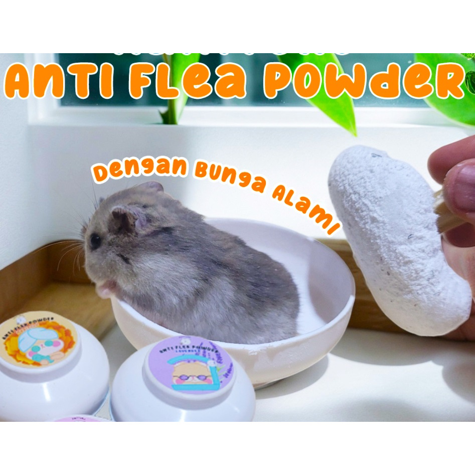 Jual Bedak Mandi Hamster Anti Bau dan Kutu Anti Flea Powder | Shopee ...