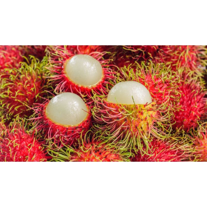 Jual Rambutan Manis Per kilo | Shopee Indonesia