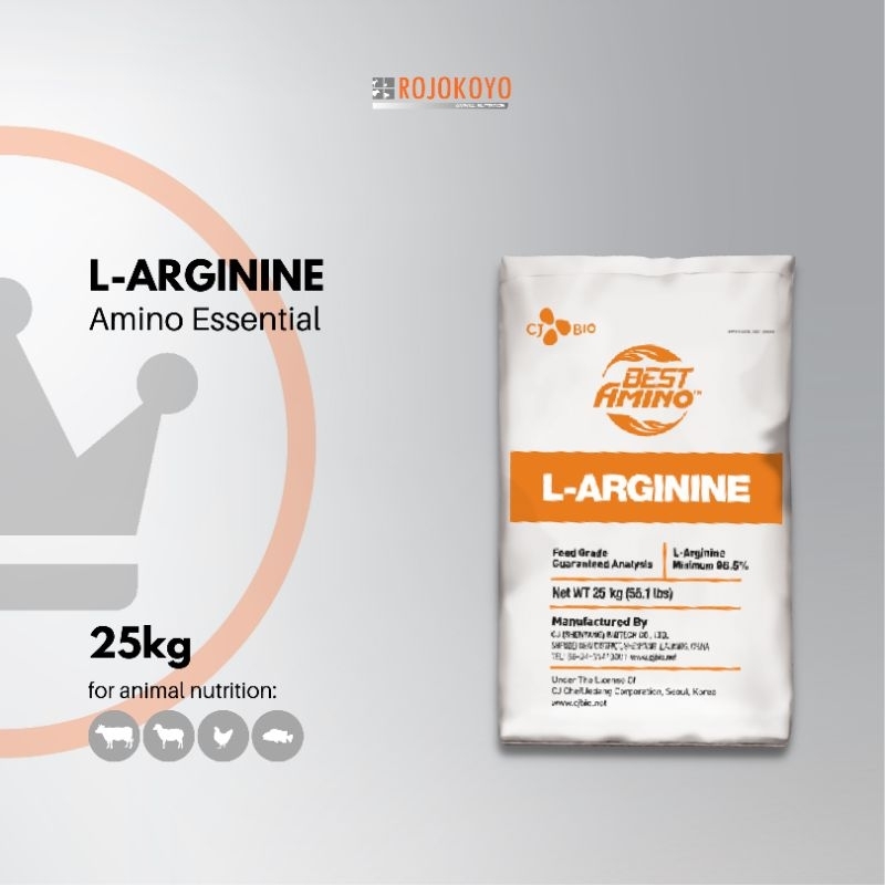 Jual L-Arginine CJ CheilJedang 25 kg - Amino Esensial untuk Pertumbuhan ...