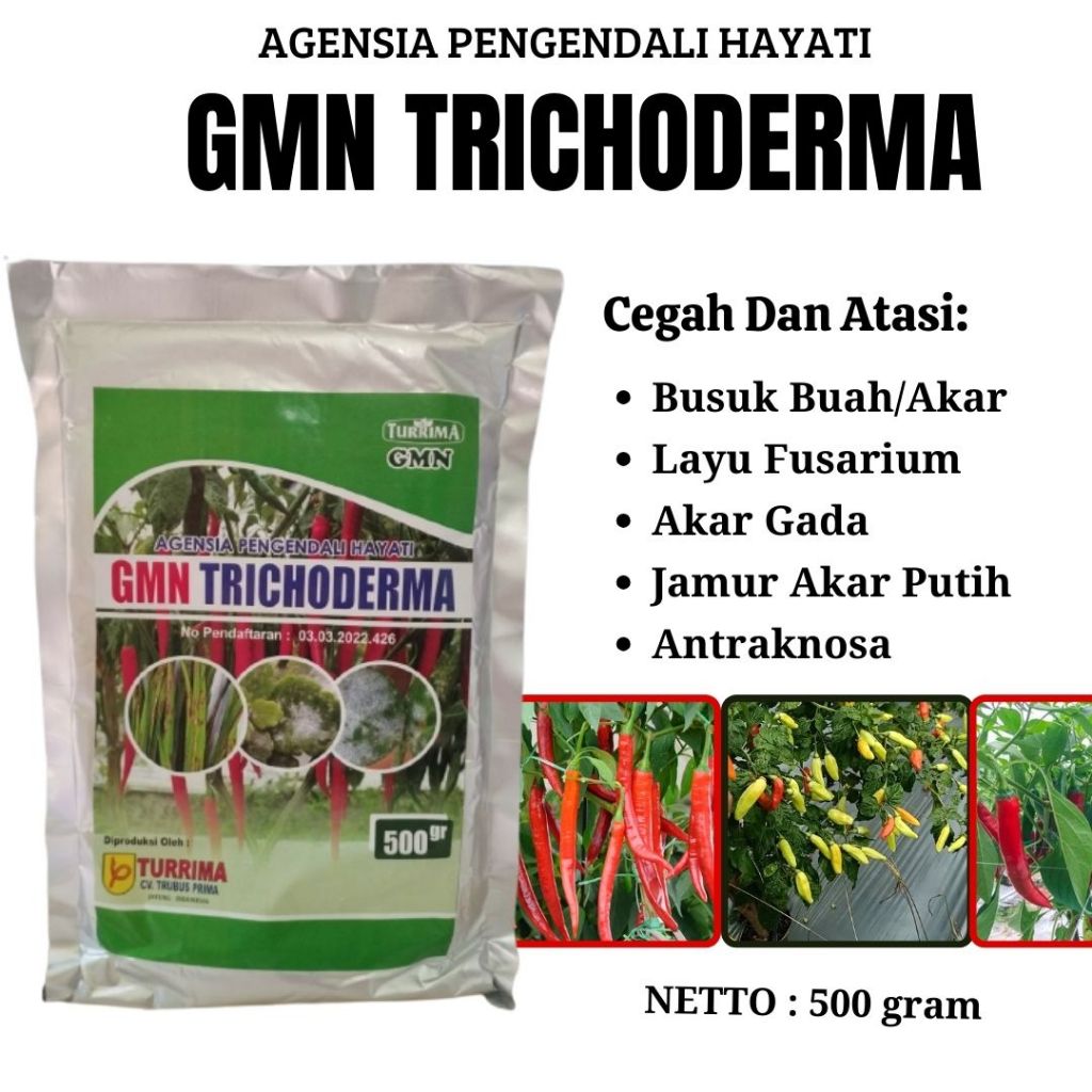 Jual Trichoderma, Fungisida Trichoderma, Agensia Hayati Tricoderma ...