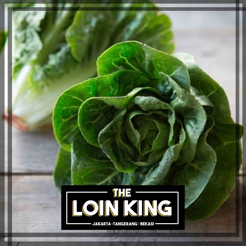 Jual Sayur Selada Romaine Kecil Batavia Butterhead Crystal Lettuce ...