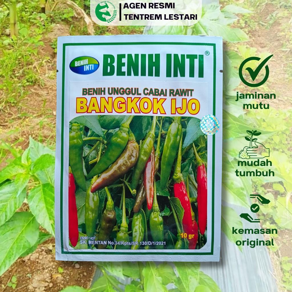 Jual Benih Cabe Rawit Bangkok Ijo 10 gram Asli Cap Benih Inti | Shopee ...