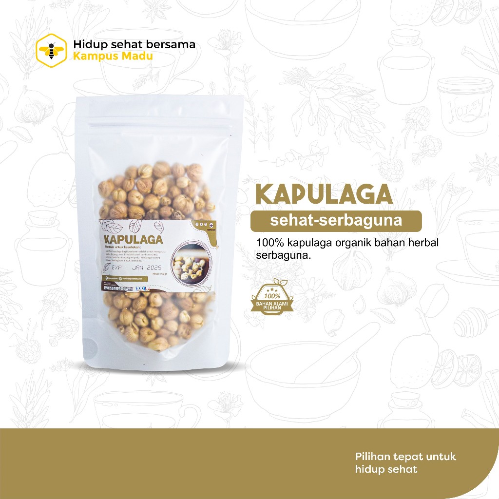 Jual Kapulaga Organik Kapulaga Putih Bersih Organik Bahan Herbal JSR ...