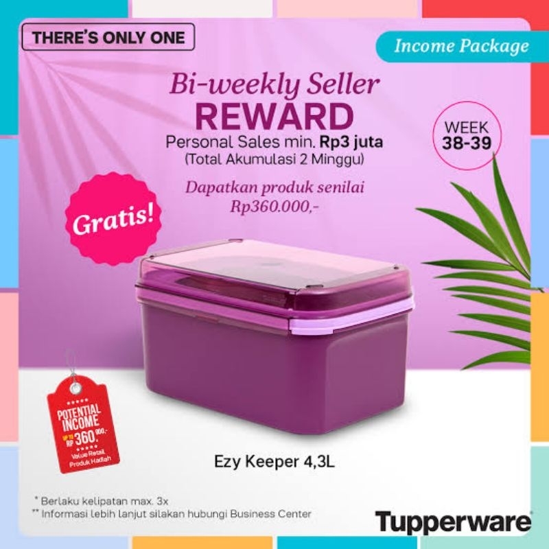 Jual Tupperware Ezy Keeper 4.3 Liter (1 Pcs) / Signature Rectangular ...