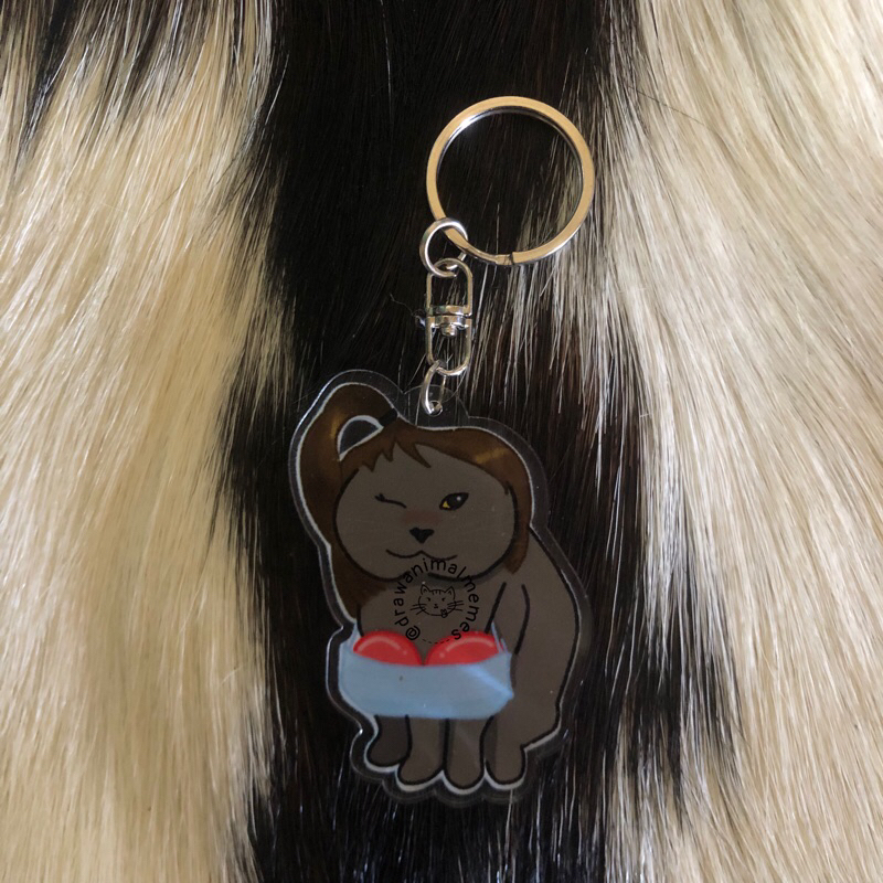 Jual GANTUNGAN KUNCI MEME KUCING AKRILIK ILUSTRASI KARTUN GANCI ...