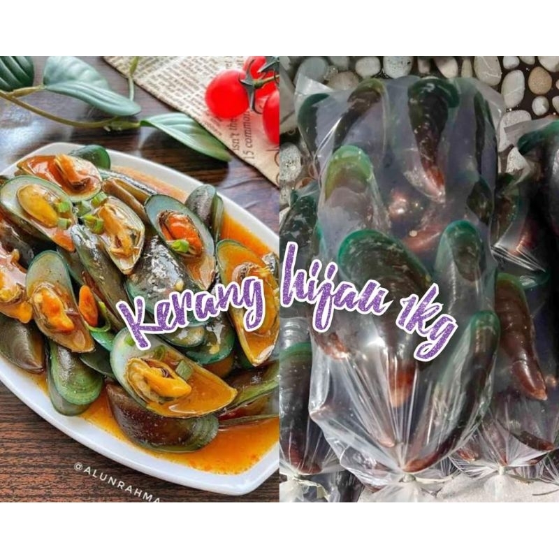 Jual kerang hijau mentah fresh frozen / seafood / ijo / bisa untuk ...