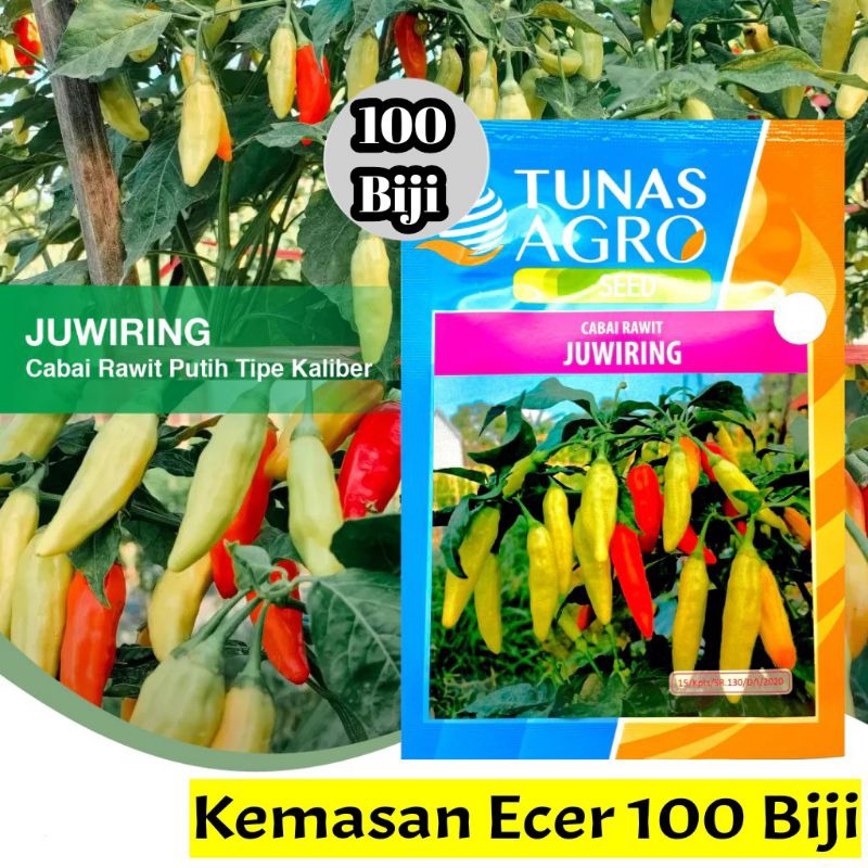 Jual 100 Biji Cabe JUWIRING Type Kaliber | Benih Cabai Rawit Juwiring ...