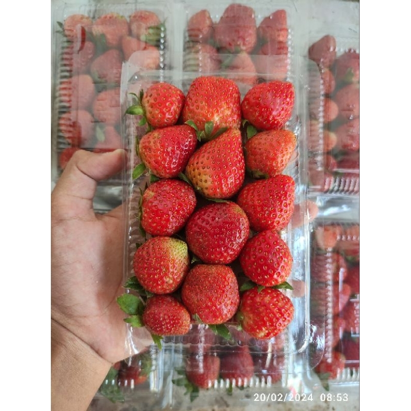 Jual Buah Strawberry Kemasan Mika | Shopee Indonesia