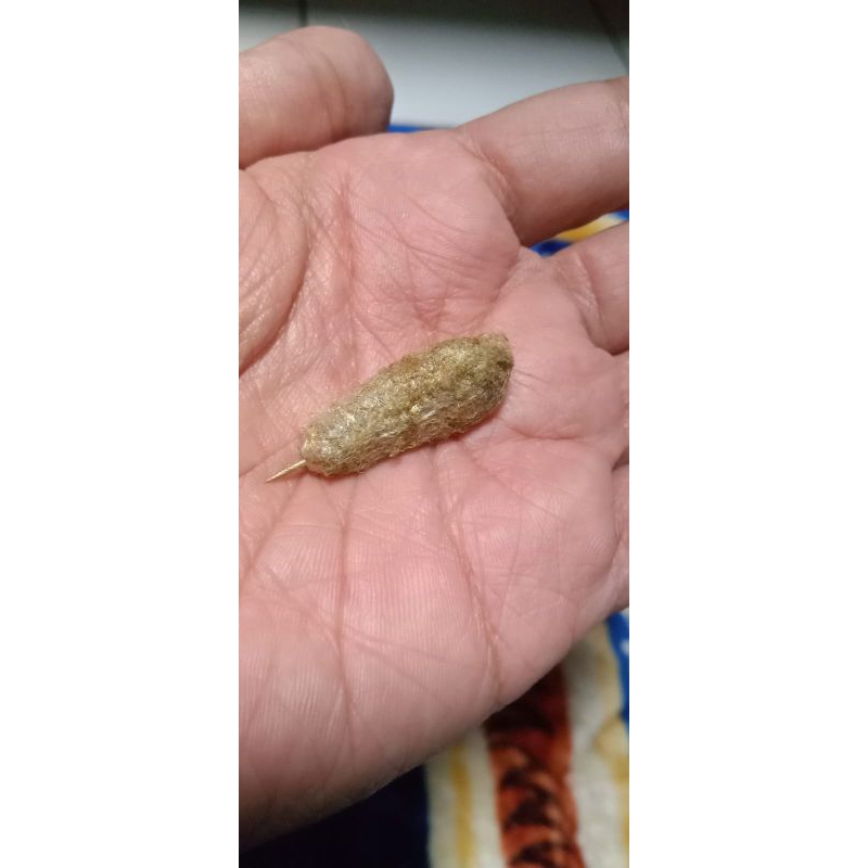 Jual KEPOMPONG JALASUTRA WESI AJI | Shopee Indonesia