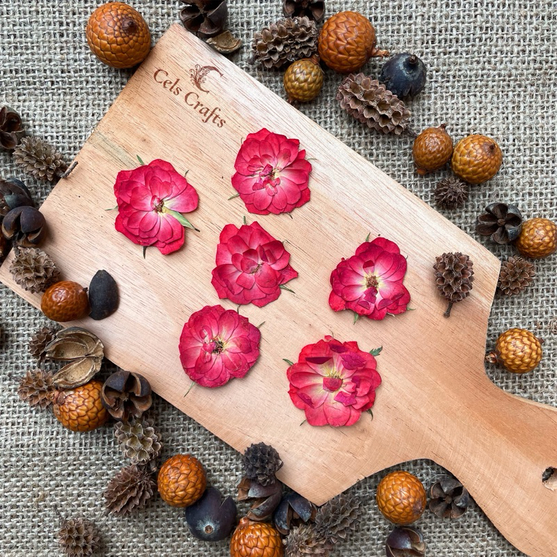 Jual Ready Stock Bunga Mawar Press Kering Untuk Resin Dan Kerajinan