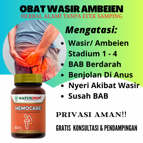 Jual Obat Wasir Paling Ampuh Ambeien Ambeyen Hilangkan Benjolan Stadium ...