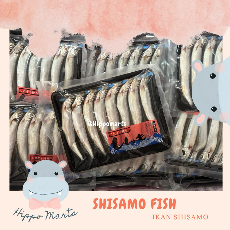 Jual Shisamo Fish / Ikan Sishamo / ikan Capelin Import Premium Quality ...