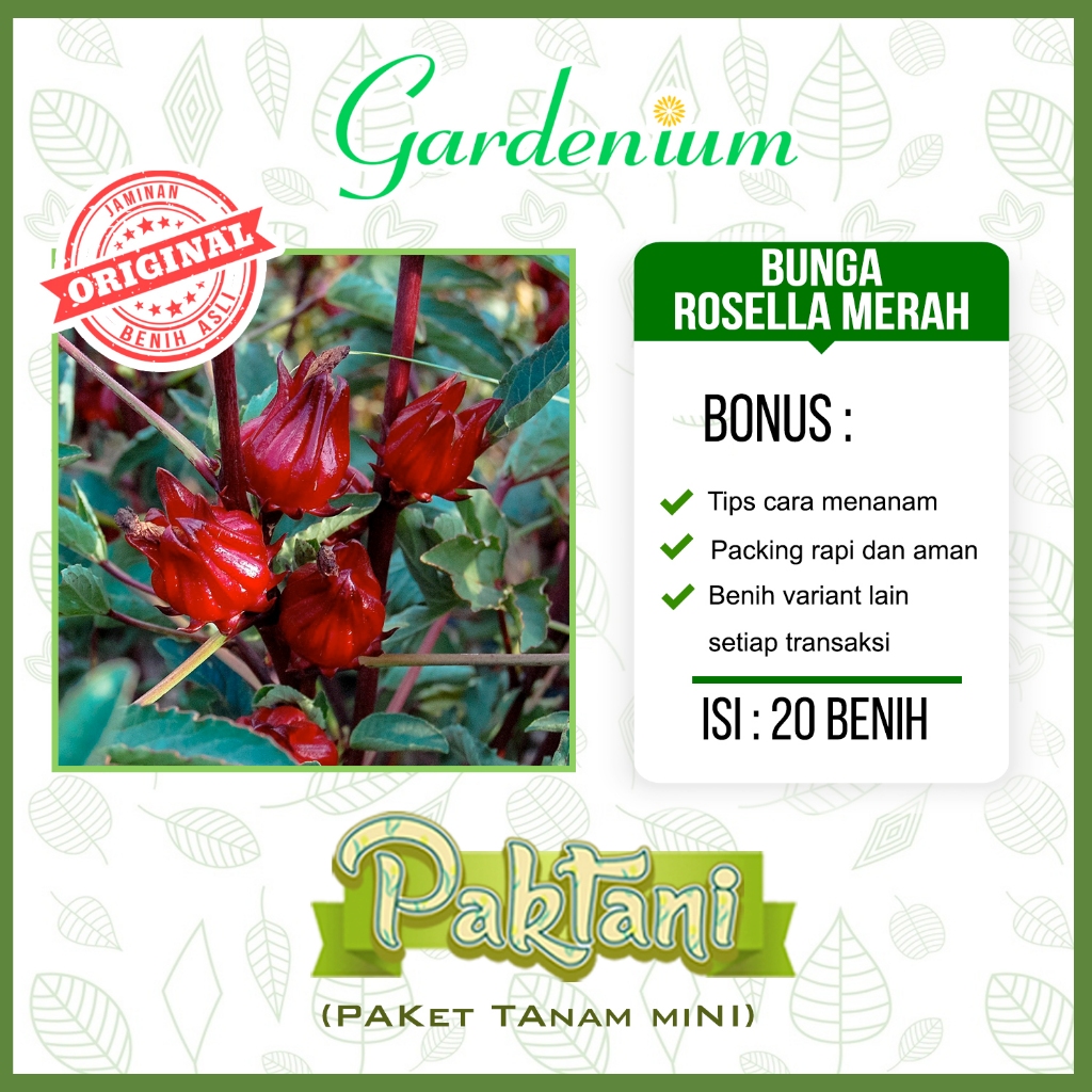 Jual 20 Benih Bunga Rosella Merah Red Roselle Rosela Tanaman Herbal ...