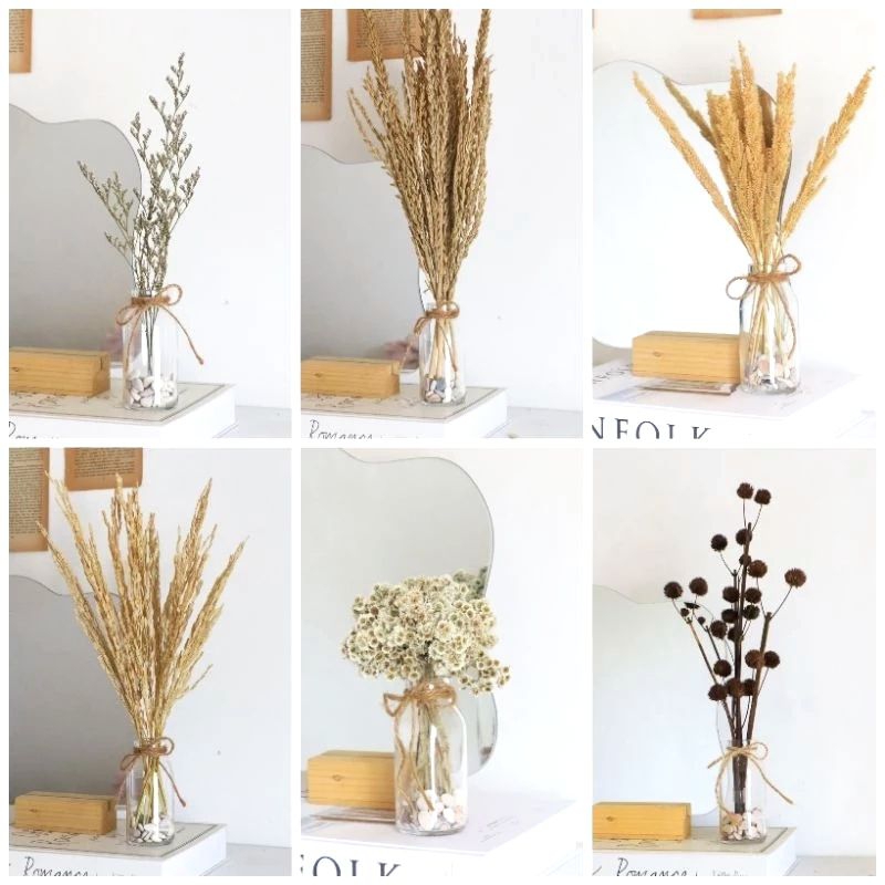 Jual Bunga kering aesthetic / Bunga edelweis / Bunga set vas botol kaca ...