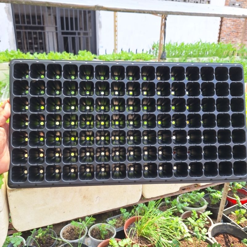 Jual Tray Semai Pembibitan 105 Lubang Tanam | Shopee Indonesia