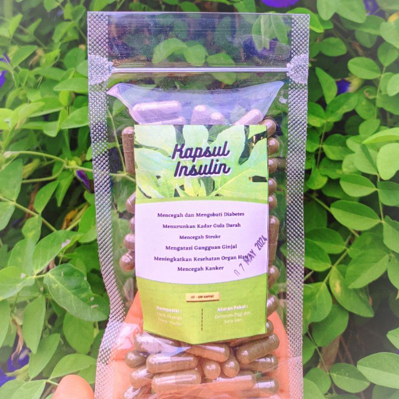 Jual Kapsul Insulin isi 100 Kapsul Alami Murni Herbal | Shopee Indonesia