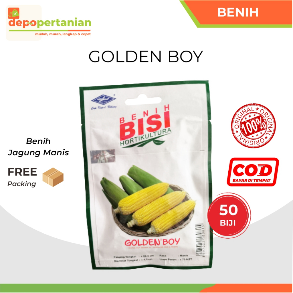 Jual Depo Pertanian - Benih Jagung Manis Golden Boy isi 50 Biji Bibit ...