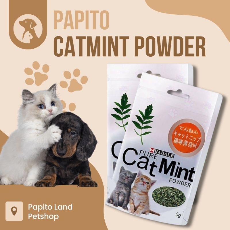 Jual Cat Mint Powder | Catnip Powder | Cemilan Snack Kucing | Cat ...