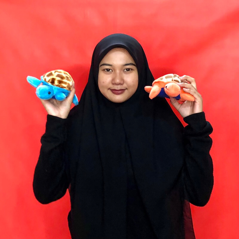 Jual Boneka kura kura Mini, boneka Kura kura S, Boneka Hewan animal SNI ecofootwear.id | Shopee ...