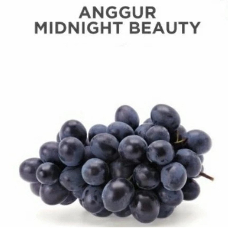 Jual Buah Anggur Hitam Import Fresh Manis Segar | Shopee Indonesia