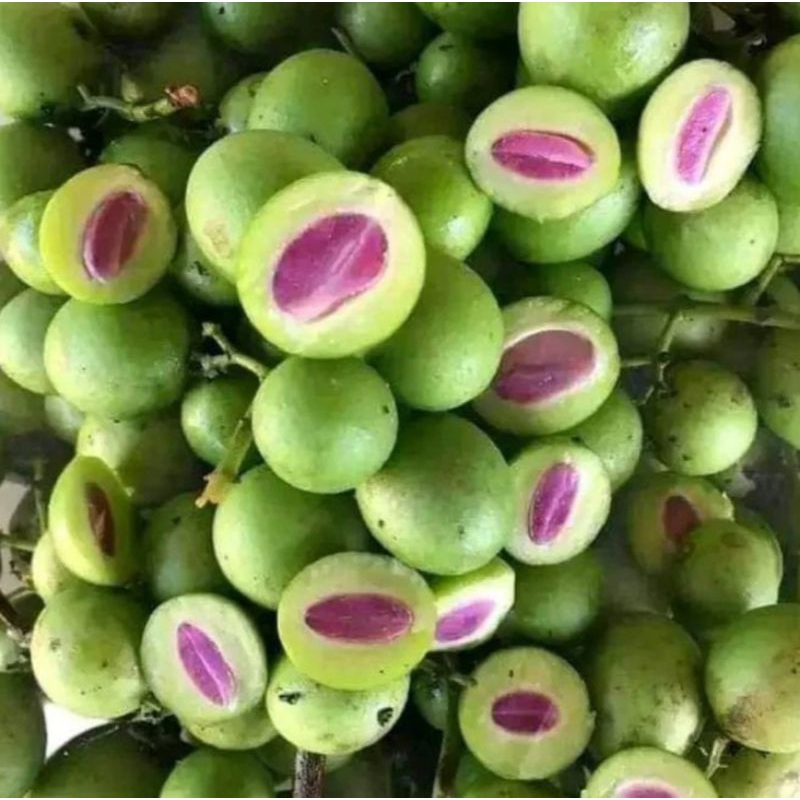 Jual Buah Jatake Gandaria segar 1 kg Mateng | Shopee Indonesia