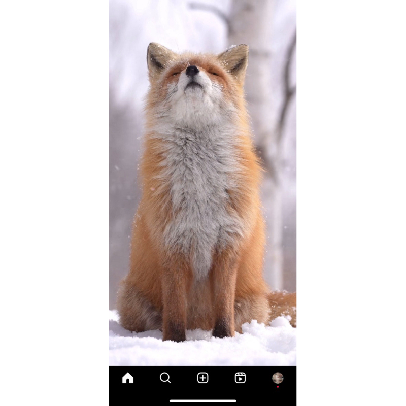 Jual link ko ricky | Shopee Indonesia