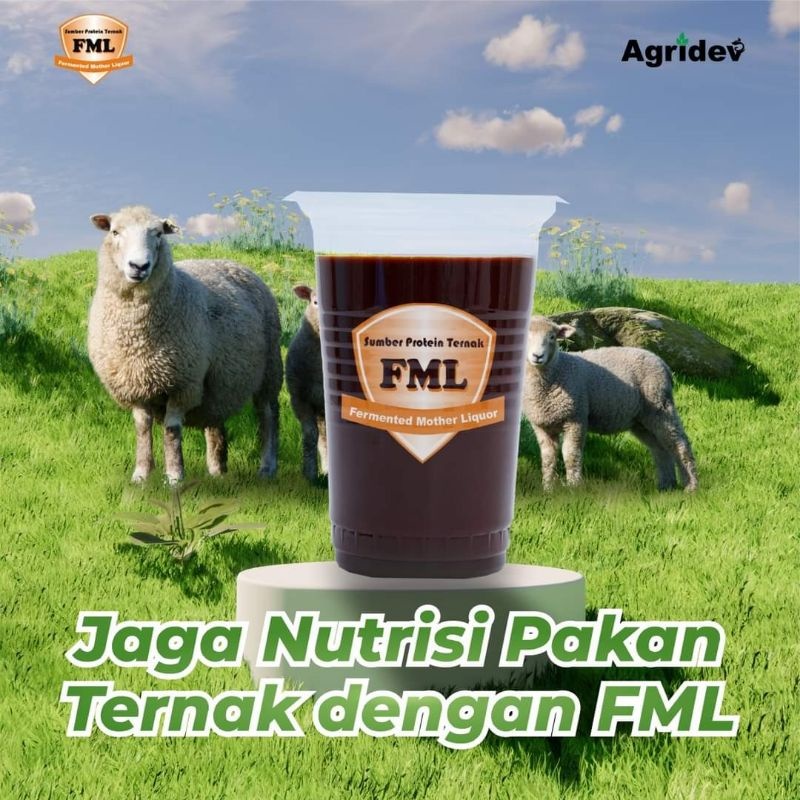 Jual Sumber Protein Ternak FML 1 Liter Nutrisi Pakan Ternak dari ...