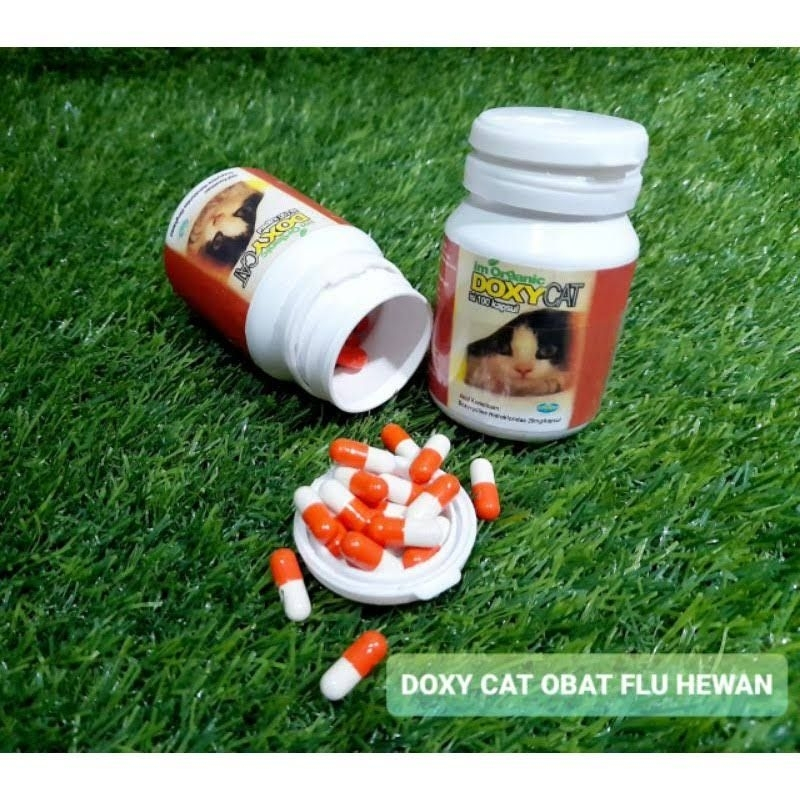 Jual Obat Flu Kucing Doxy Cat 1 Botol 100 Kapsul Doxy Cat IM Organic ...