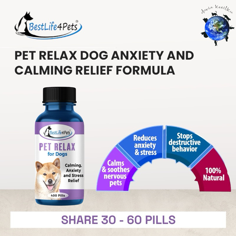 Jual Bestlife For Pets PET RELAX DOG - Anxiety & Calming Relief (SHARE ...