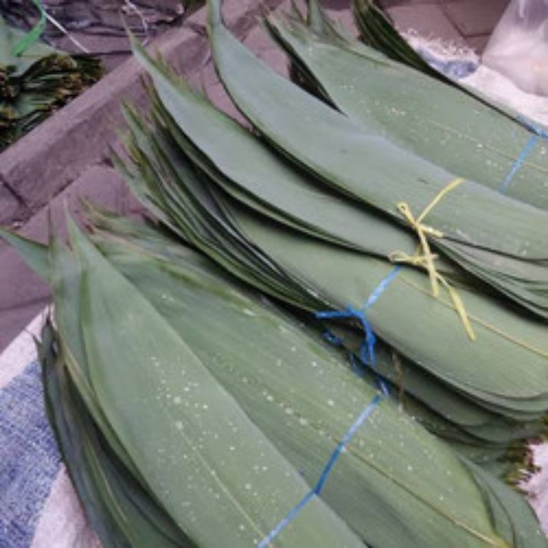 Jual Daun bambu Jumbo lebar 10-12cm ( Harga per kilo) | Shopee Indonesia