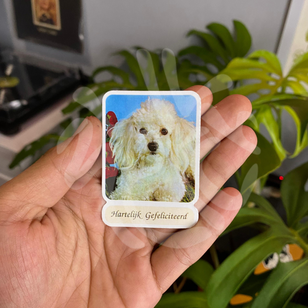 Jual stiker anjing / sticker aesthetic / sticker tumblr /stiker premium ...