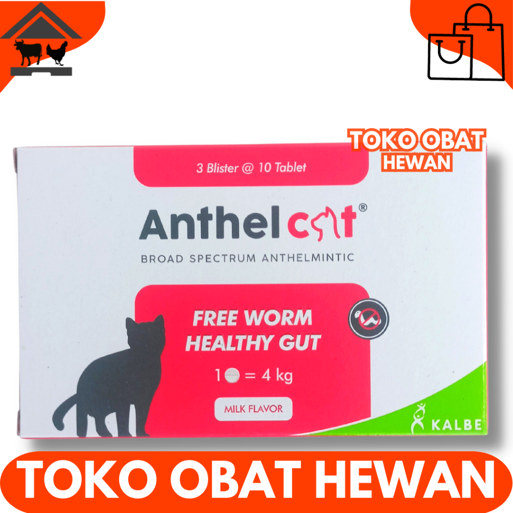 Jual ANTHEL CAT 1 TABLET (KEMASAN BLISTER) - Obat Cacing Kucing Ampuh ...