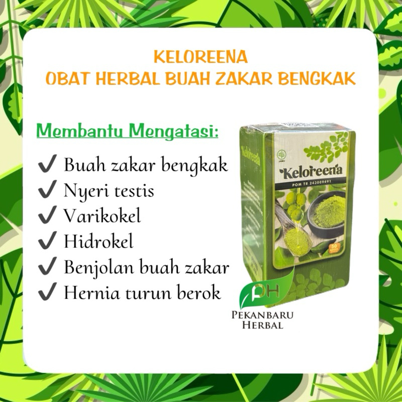 Jual Obat Buah Zakar Bengkak Sebelah Varikokel Hidrokel Nyeri Testis ...