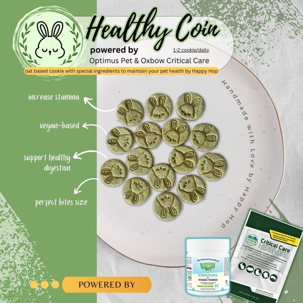 Jual Healthy Coin snack hewan kelinci, marmut, hamster, chinchilla by ...
