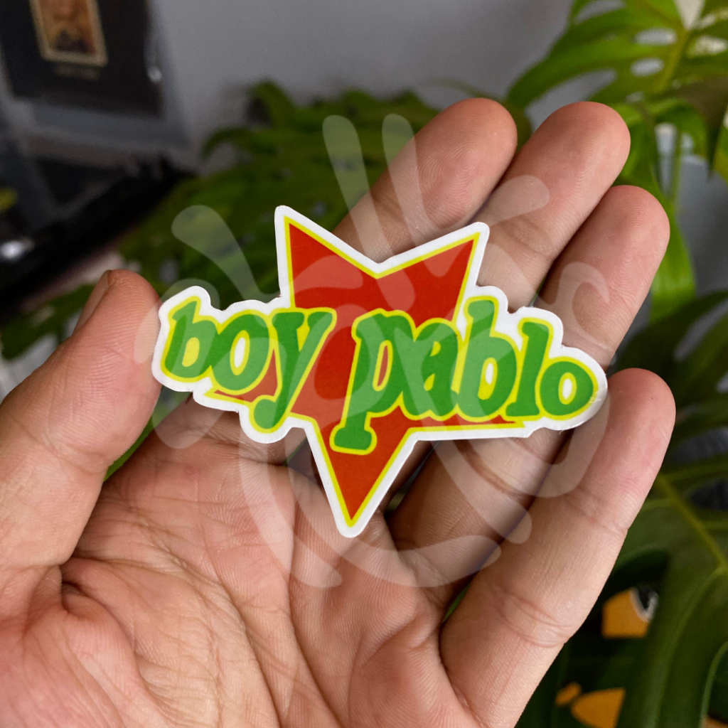 Jual sticker boy pablo / sticker / aesthetic sticker / sticker tumblr ...