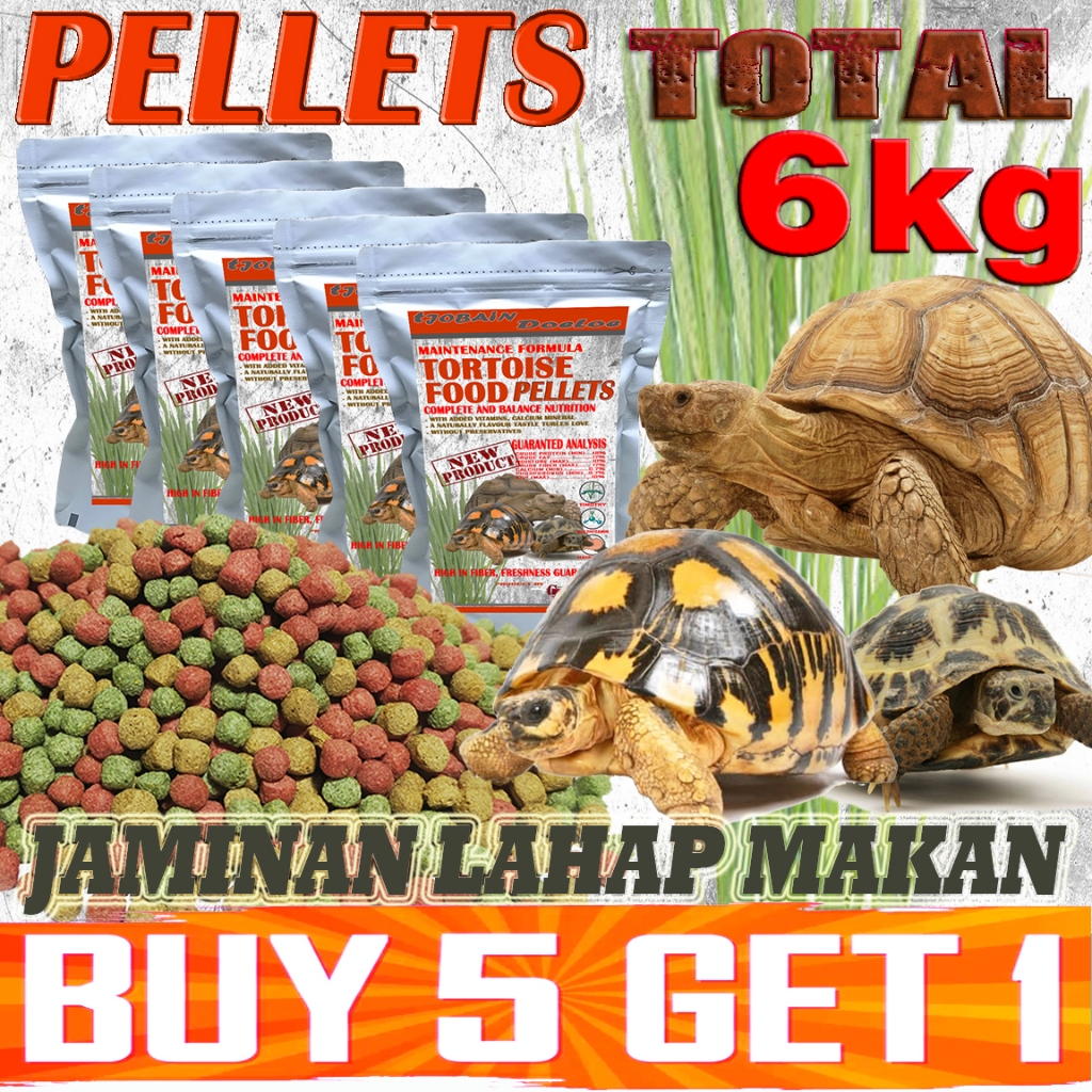 Jual SULCATA TORTOISE SULKATA MAKANAN KURA-KURA DARAT PELET TORTO ...